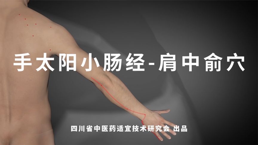 398个穴位,你都知道吗?手太阳小肠经-肩中俞穴