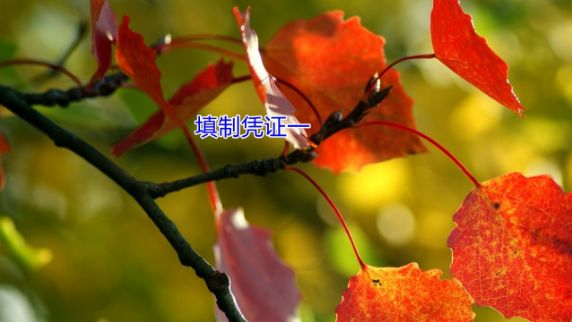 用友T3如何填制凭证?#会计实操 #财务