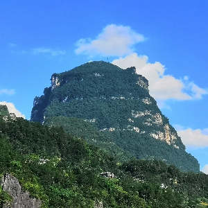 题哦我怕一觉OK 