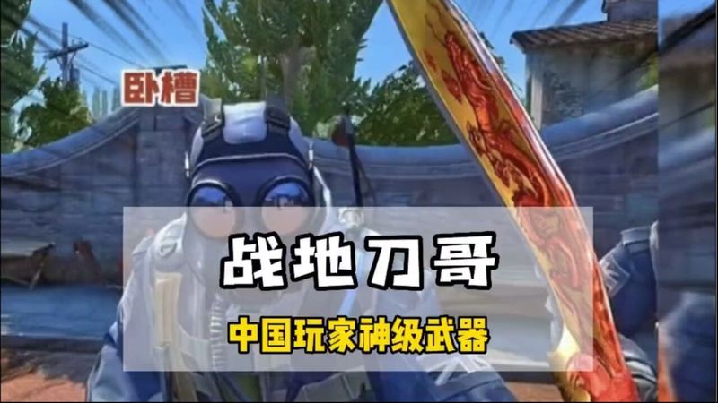 大哥永远是大哥 游戏 神操作 csgo 这操作都看傻了