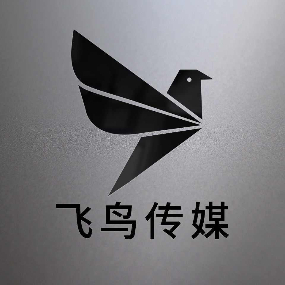 飞鸟文化传媒 