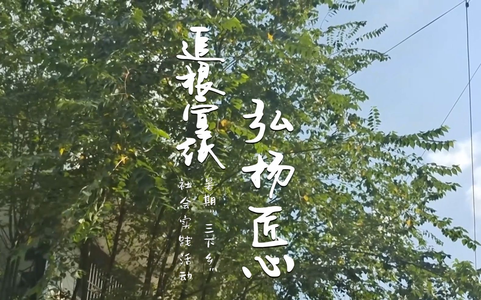 【三下乡】《追根宣纸 弘扬匠心》| 2022年合肥工业大学资源与环境...