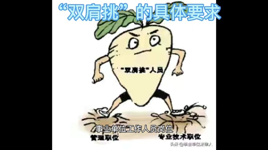 事业单位工作人员“双肩挑”的具体要求