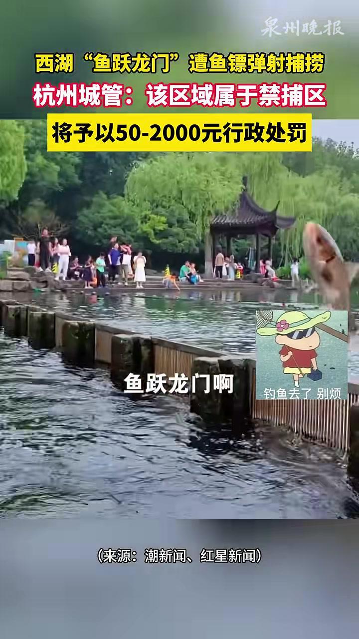 ...杭州城管:该区域属于禁捕区,将予以50-2000元行政处罚。#鱼跃龙门