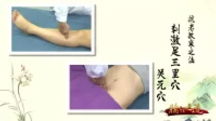 足三里-关元穴-抗老防衰之法