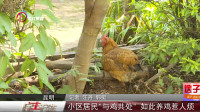 昆明小区居民养鸡惹人烦,邻居多次投诉无果,该如何调解维权?