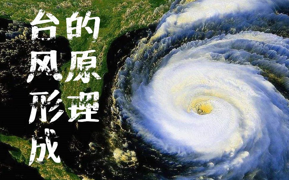 【趣味科普】台风是怎么形成的呢?