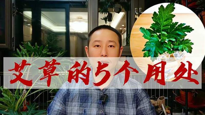 艾草的5个作用,学一学,好处很多