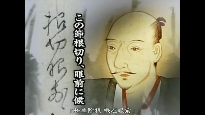 织田信长与德川家康的同盟