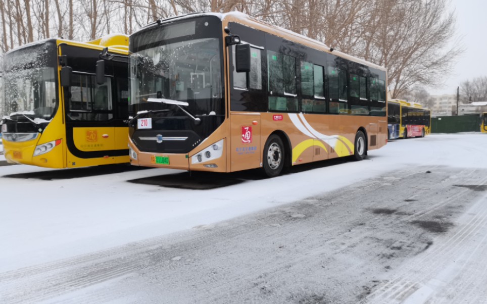 哈尔滨210路中通N8行走音(建安四道街-教堂区段)