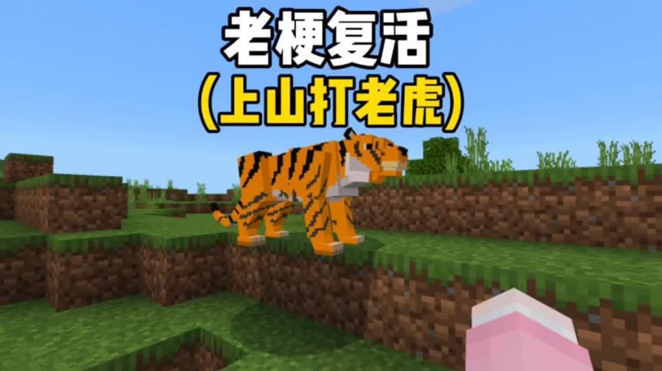 我的世界老梗复活,上山打老虎