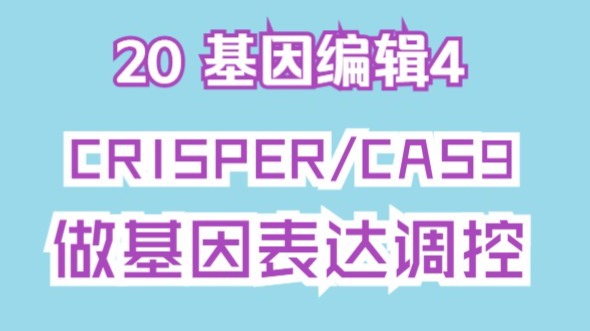 【杨觅】分子克隆案例20—Crisper/Cas9做基因表达调控