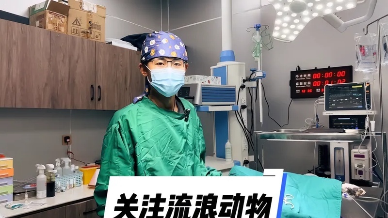 关注流浪动物,给动物们带来福利!