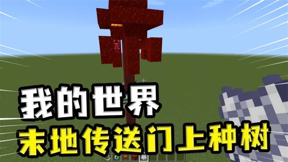 我的世界:末地传送门上种树,被树穿过的地方,传送门会失效