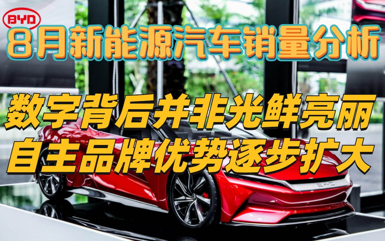 8月国内新能源汽车销量分析:数字背后并非隐患重重,自主品牌优势扩大