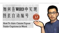 如何在word中实现自动图表编号