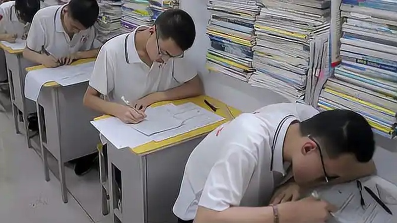 高一生物学习秘籍,如何学好高一生物?