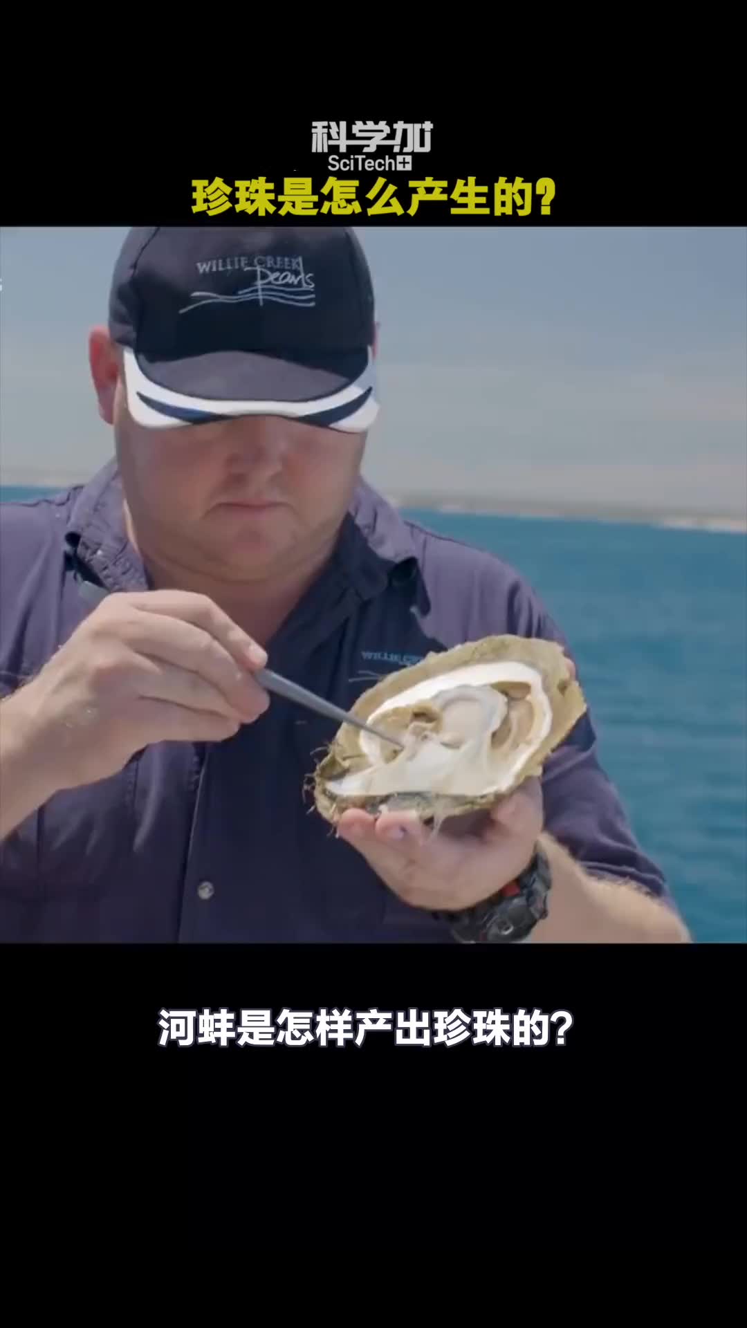 珍珠是如何产生的?