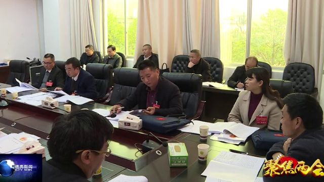 道真自治县第八届人民代表大会第四次会议进行分组讨论