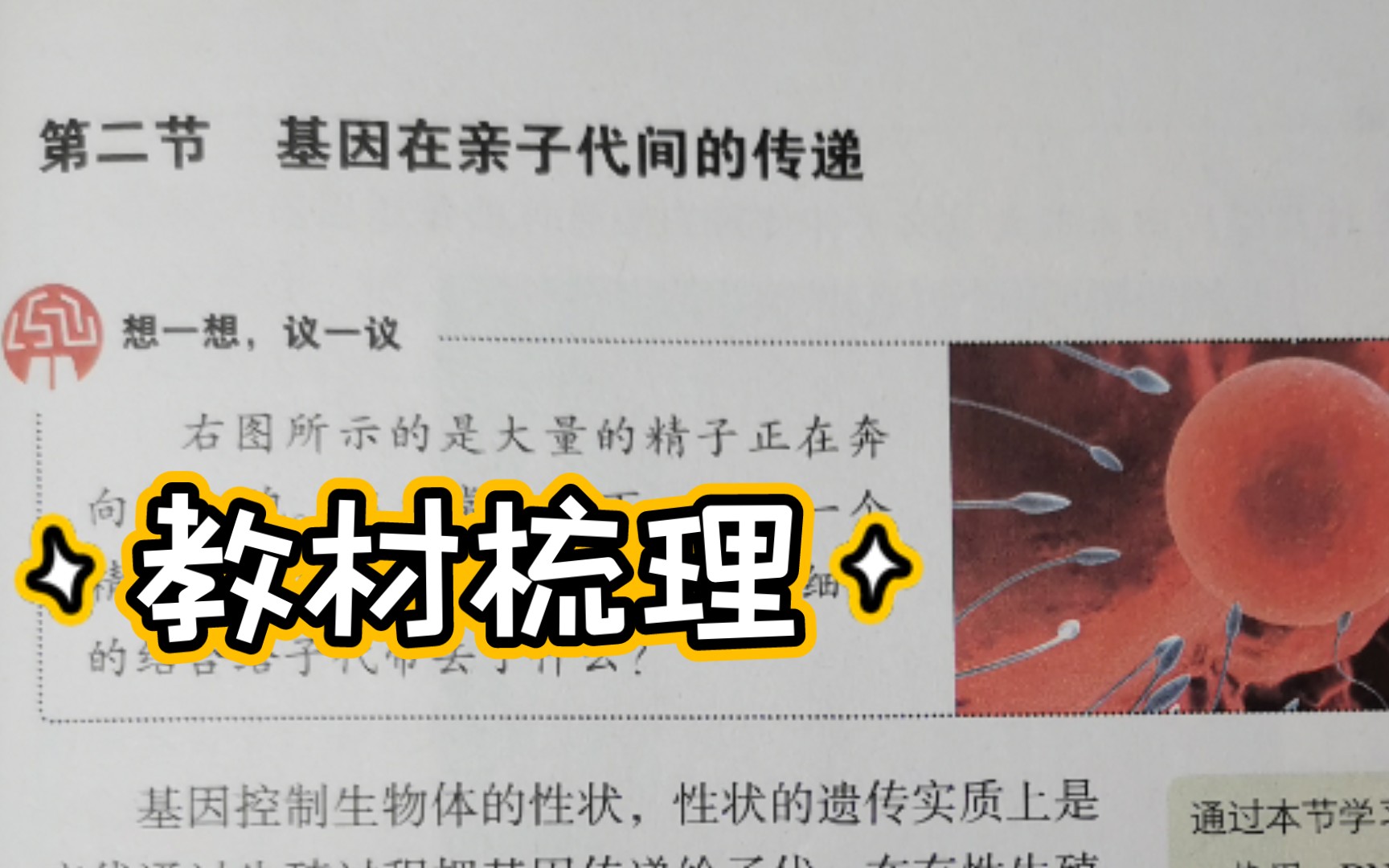 教材梳理//第二章第二节 基因在亲子代间的传递(人教版初中生物八年级...