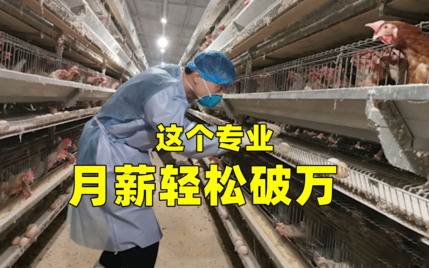 这个专业月薪轻松破万