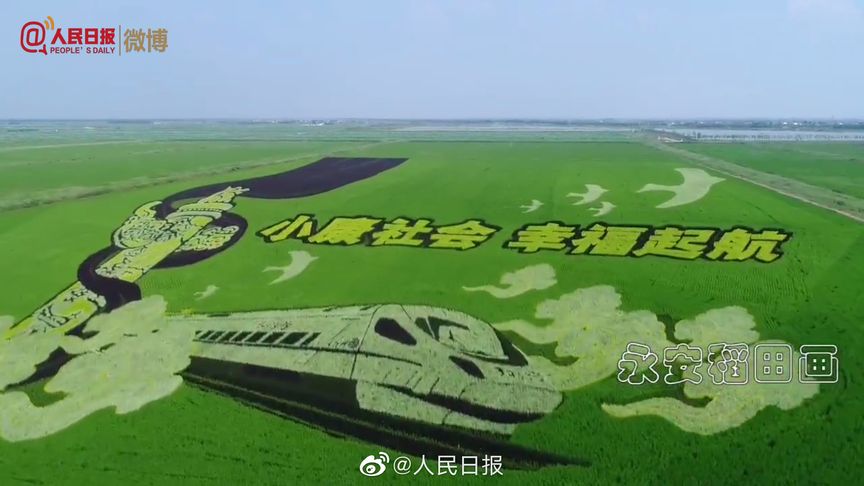 【大地为纸,水稻作笔!#航拍山东东营六色稻田画#】时下