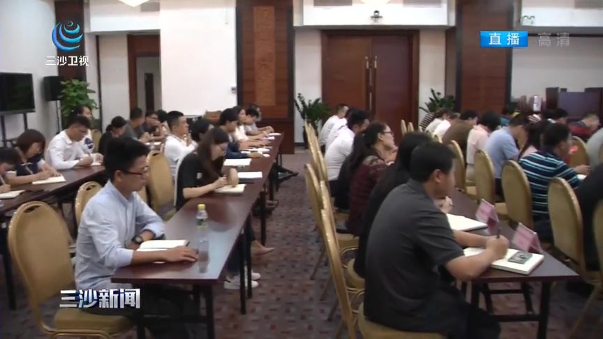 总结三沙主题教育阶段性工作 分析当前所存在的问题