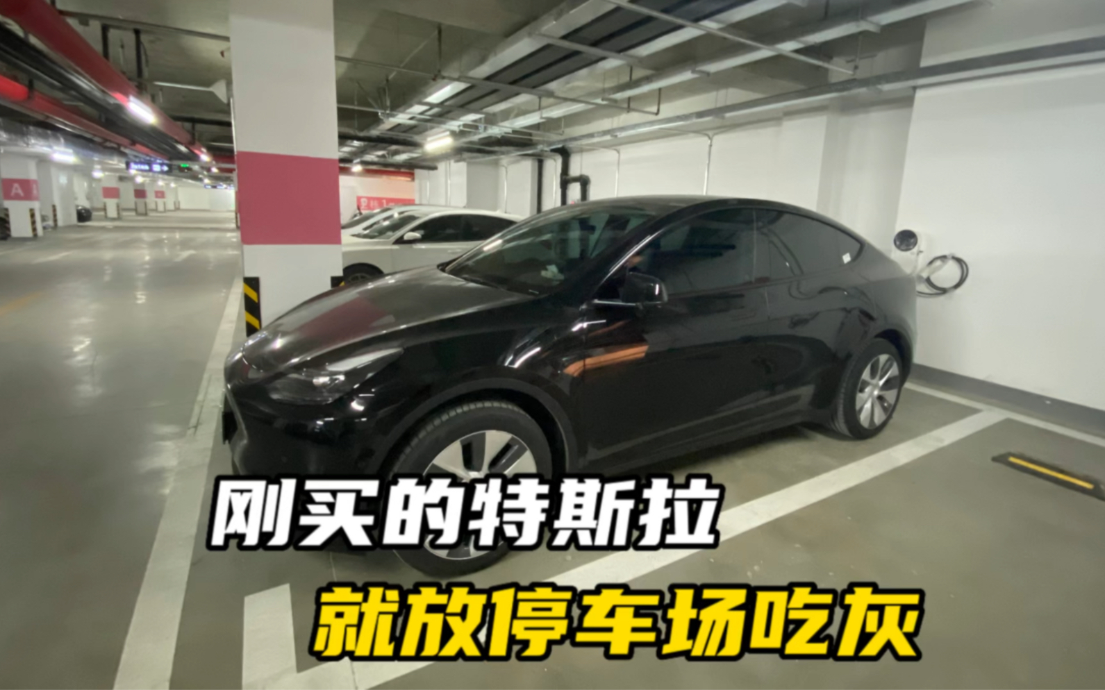 刚买的特斯拉就长时间停放,今天开车去充电,电车不开要注意什么