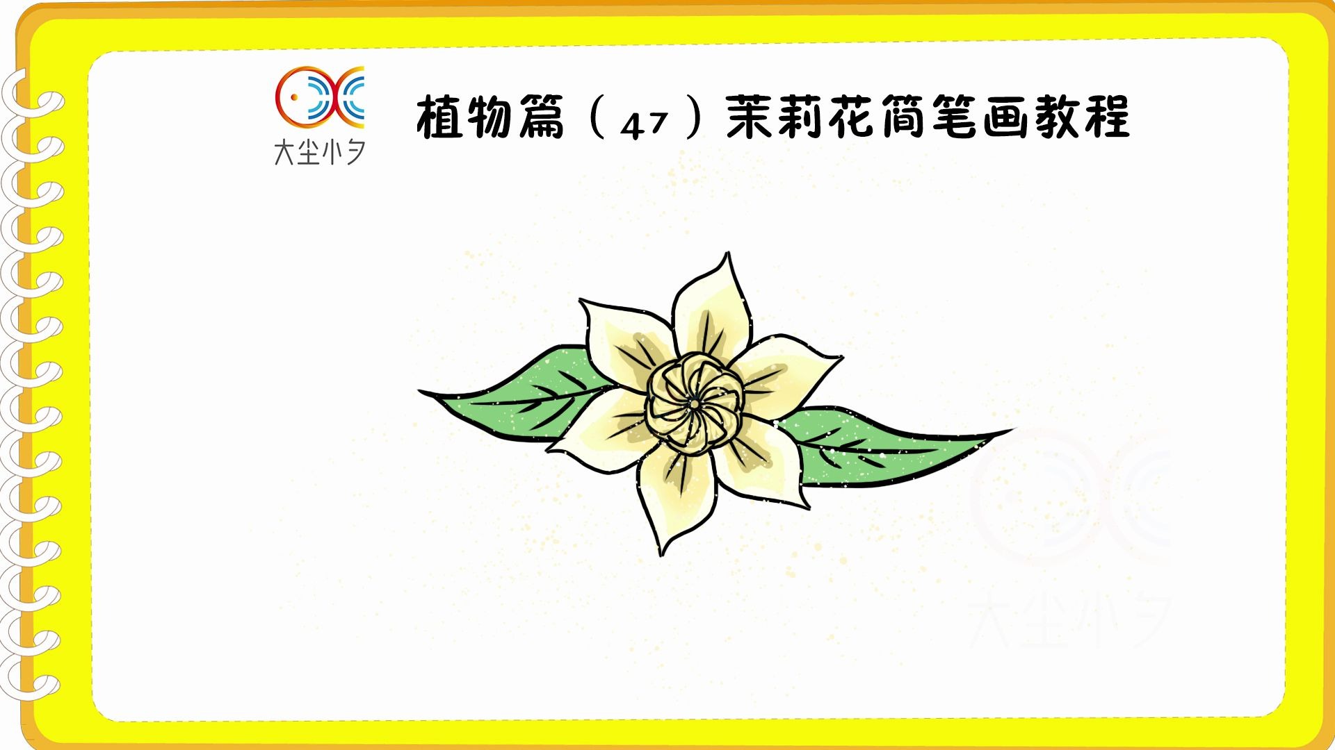 植物篇(47)茉莉花简笔画教程