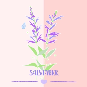 Salviarkk 
