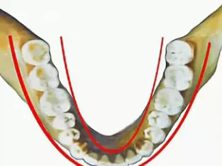 口腔实践技能视频-上、下牙列印模制取(第二站基本操作技能)_标清