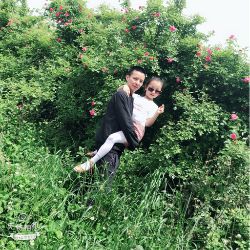 管类机械设备ZL 