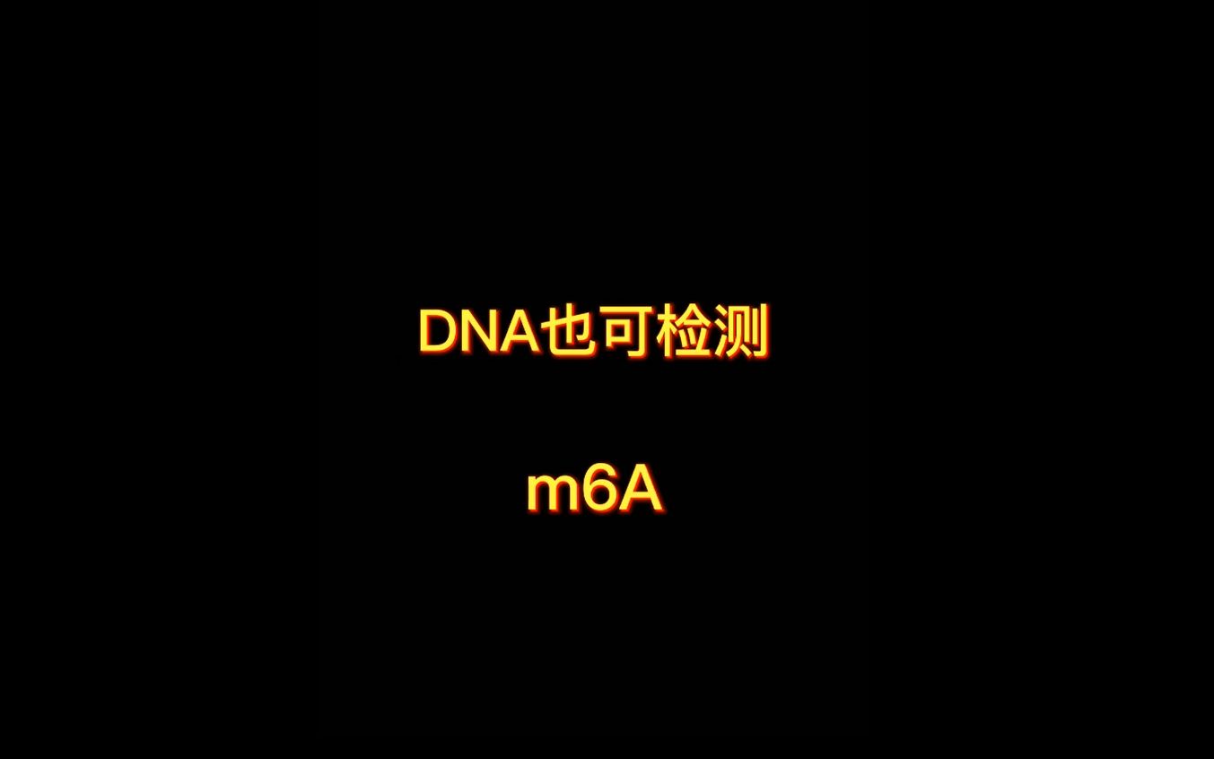 m6A DNA甲基化定量检测试剂盒(比色法)