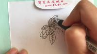 凤仙花简笔画视频