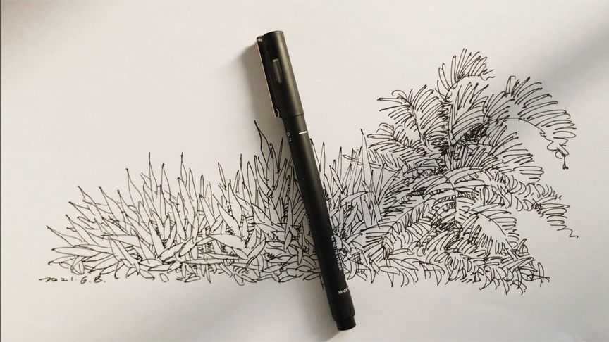 通过一根根线条疏密排列体现明暗#景观手绘#钢笔画#室内设计#绘画