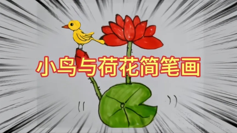 画小鸟与荷花简笔画 简笔画 画画 儿童画画 零基础学画 入门 绘画