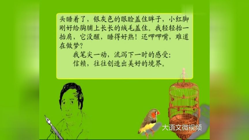 冯骥才散文《珍珠鸟》视频朗读