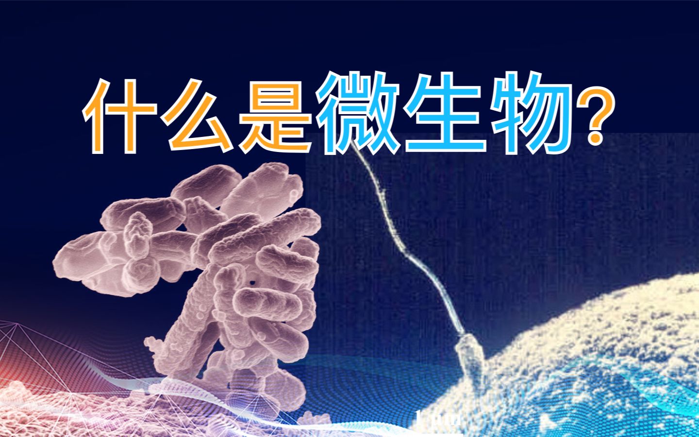 微生物是如何被发现的?什么是巴氏灭菌法?