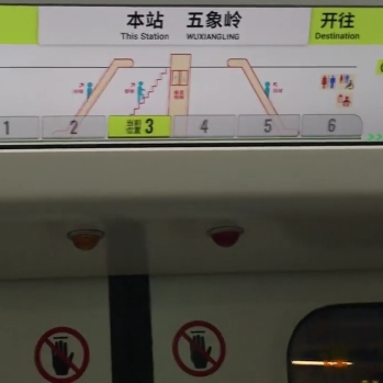 海带纪录片 