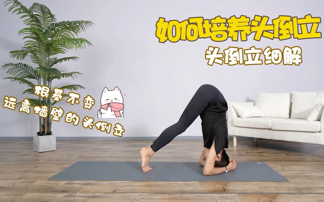 头倒立细解:如何培养头倒立