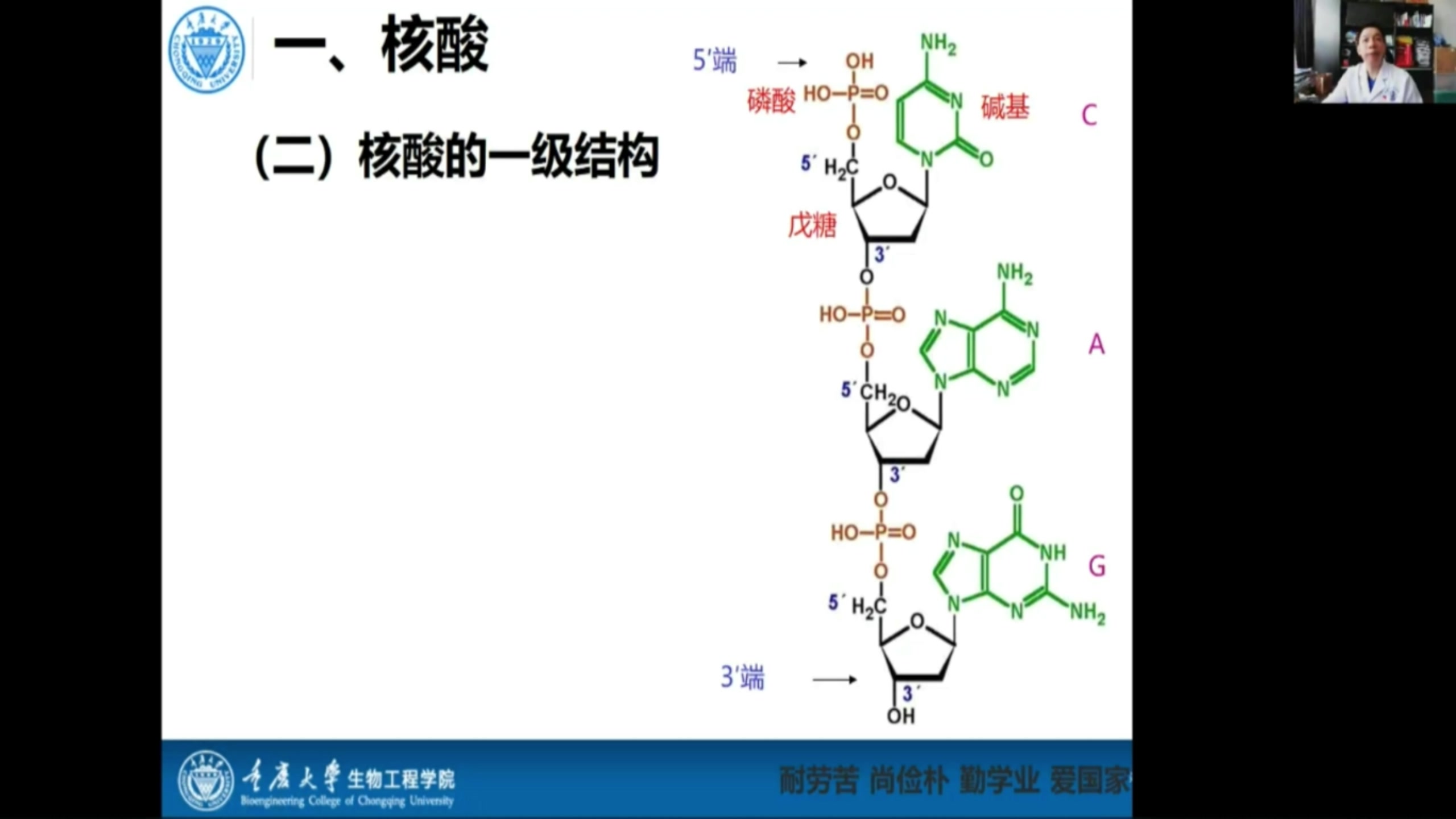 2022年重庆市临床基因扩增检验上岗培训课程(PCR上岗)