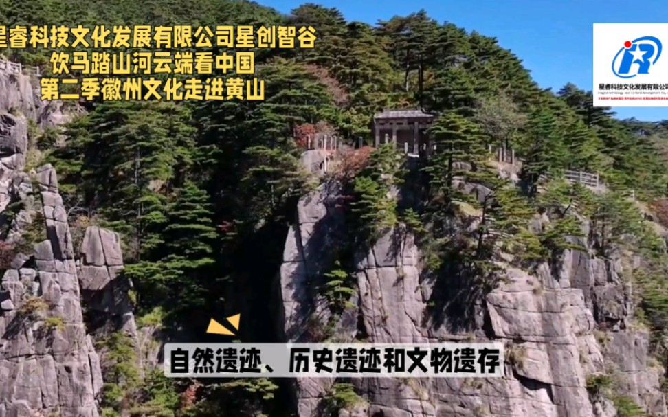 文化产业创意运营、数字化解决方式,管理咨询服务整合提供商_星睿...