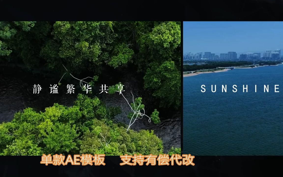 地产1分钟大气高端创意概念地产提案入市前宣短视频广告AE模板...