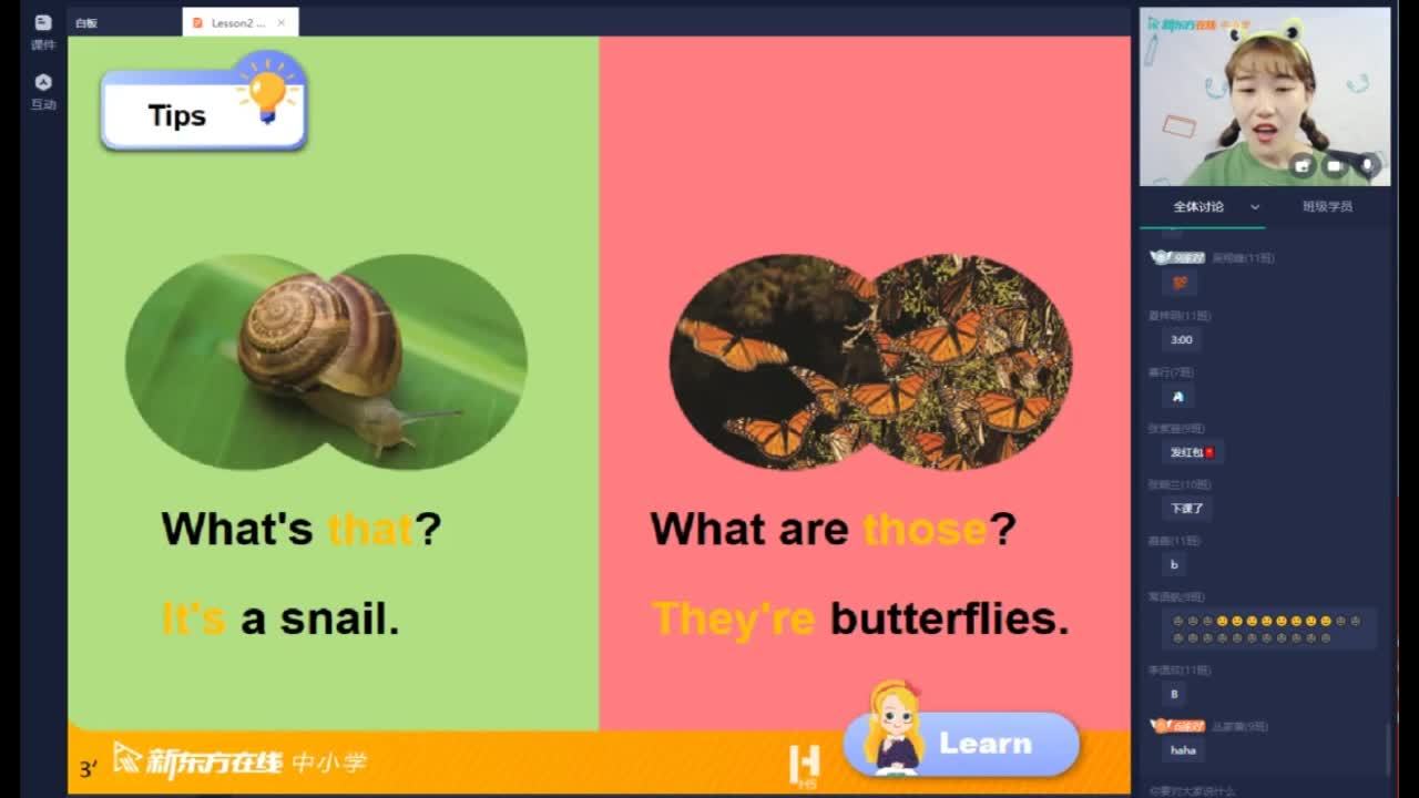四年级英语-that和those的区别和用法你得会!