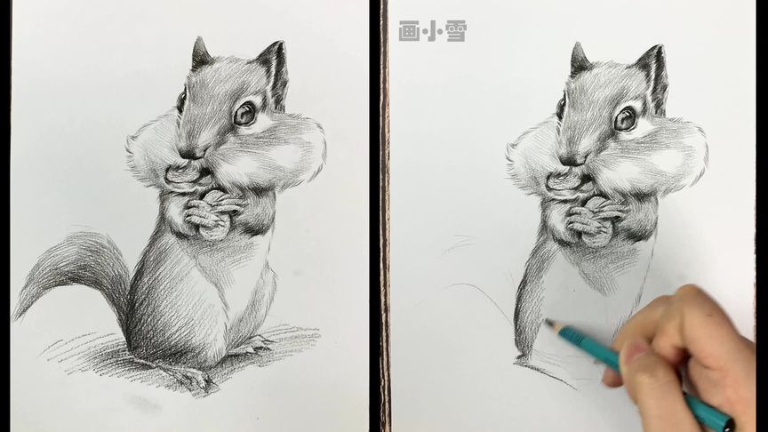 教你画一只吃东西的小松鼠 素描小动物示范教程