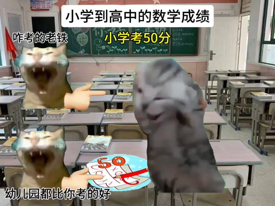 小学到高三的数学成绩
