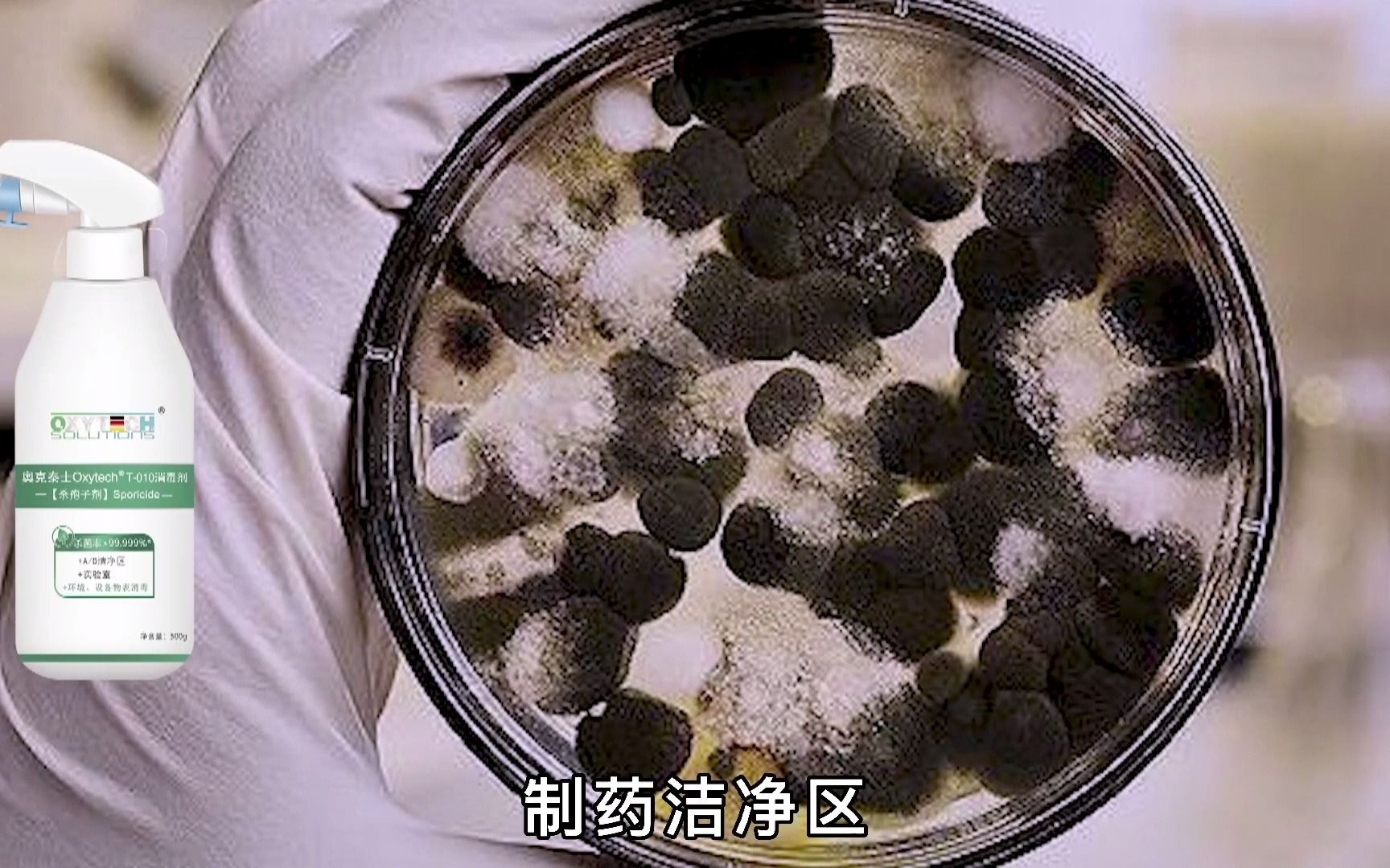 实验室杀孢子剂如何选择?即用型杀孢子剂