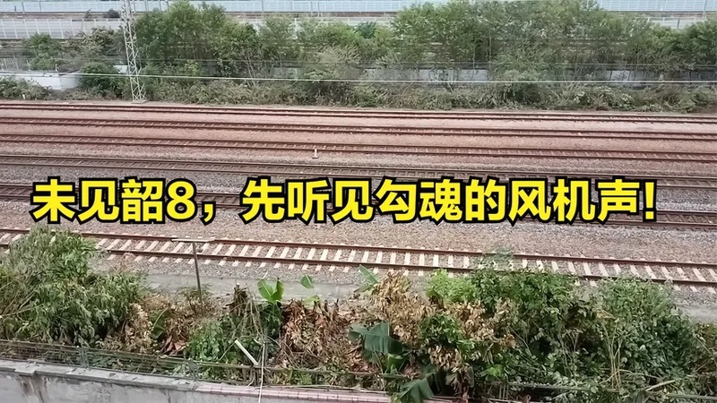 未见韶8,先闻其声!广铁长段SS8牵引K84次列车通过广州北