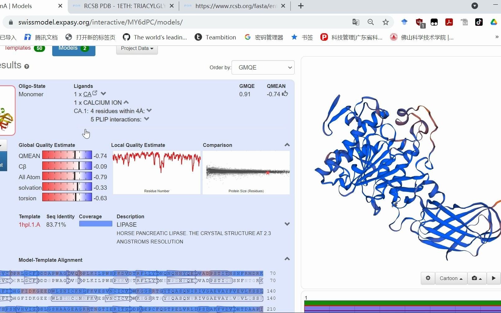 利用Swiss-Model同源建模