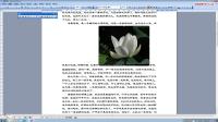 word插入图片艺术字表格